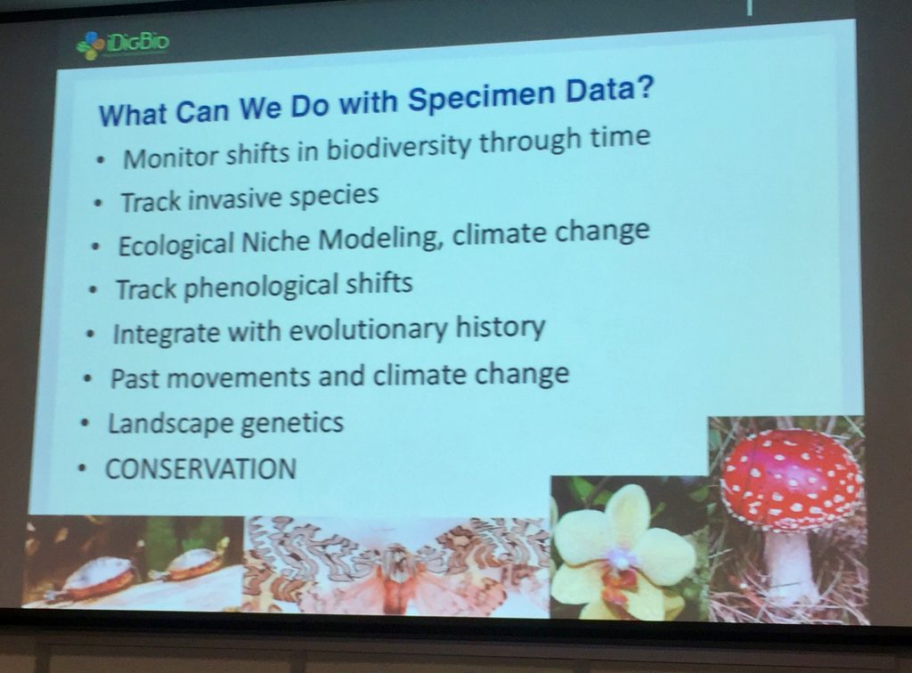Big Data, Biodiversity, and Conservation – Biodiversity Institute