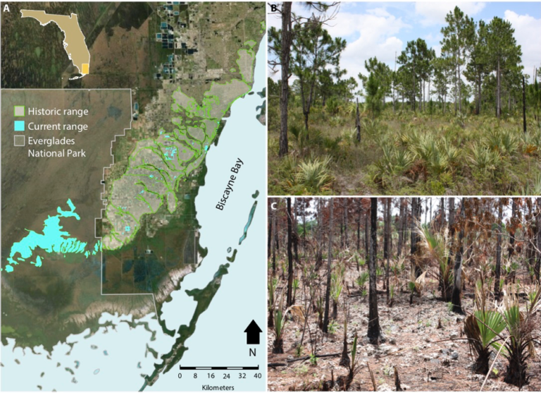 Mountains of Miami – Biodiversity Institute