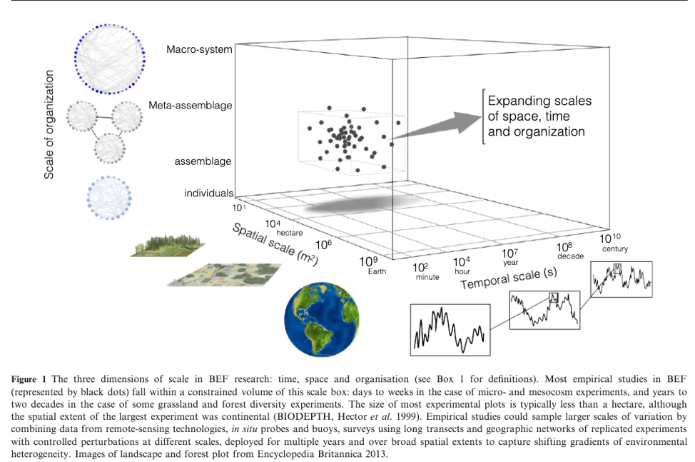 It’s All About Scale – Biodiversity Institute