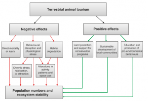 Biodiversity Observers: Leveraging Tourism for Conservation Science ...
